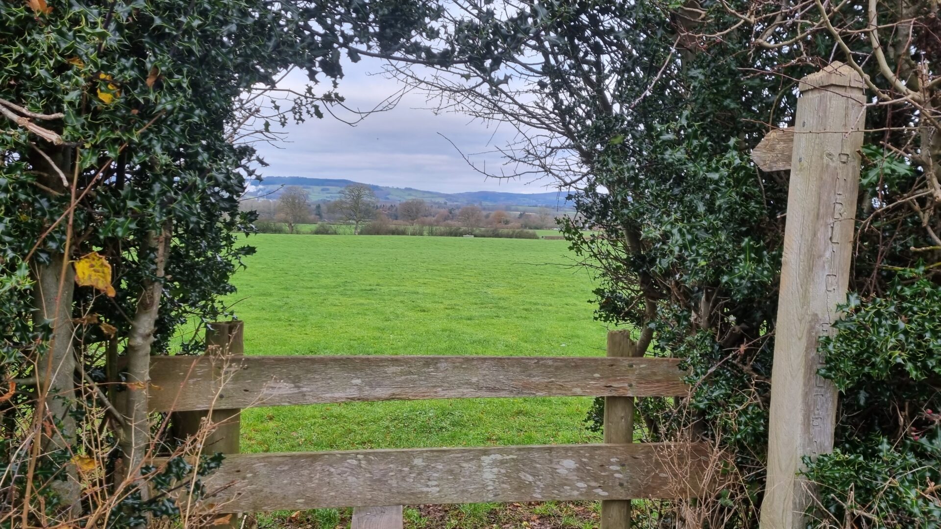 Wood Hill Wander - Walk A - Oswestry